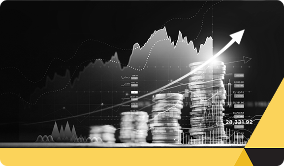 Tiger Logistics | International Logistics Company in India